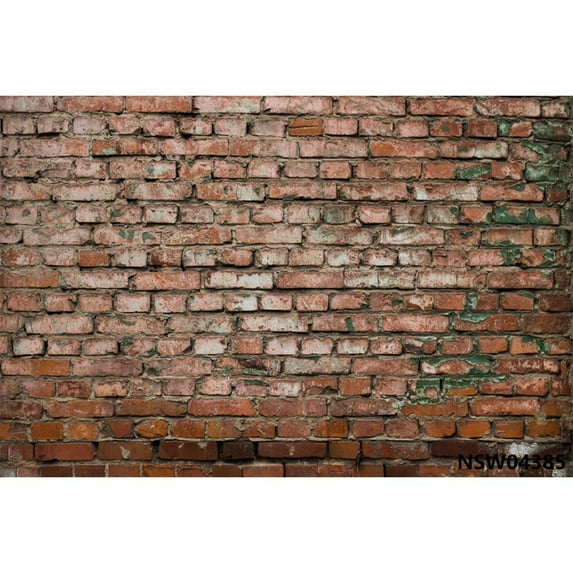 Laeacco Graffiti Brick Wall Grunge Vintage Portrait Retro Style ...