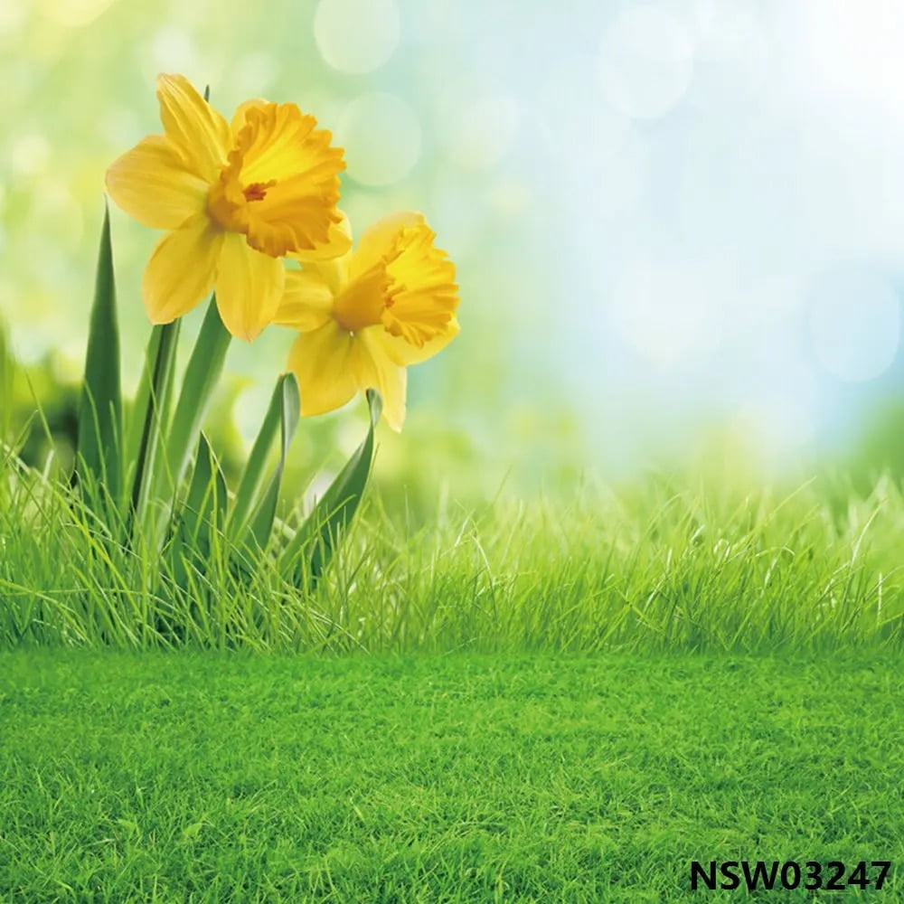 Laeacco Green Summer Tropical Palms Tree Leaves Wood Floor Baby Child ...