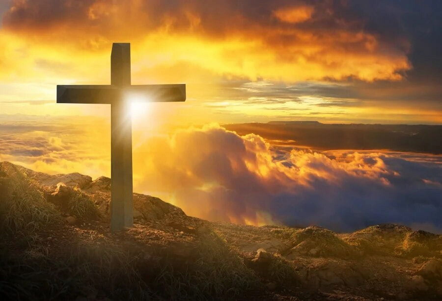 Laeacco Jesus Holy Bible Cross Background Dusk Nature Scenery Room ...