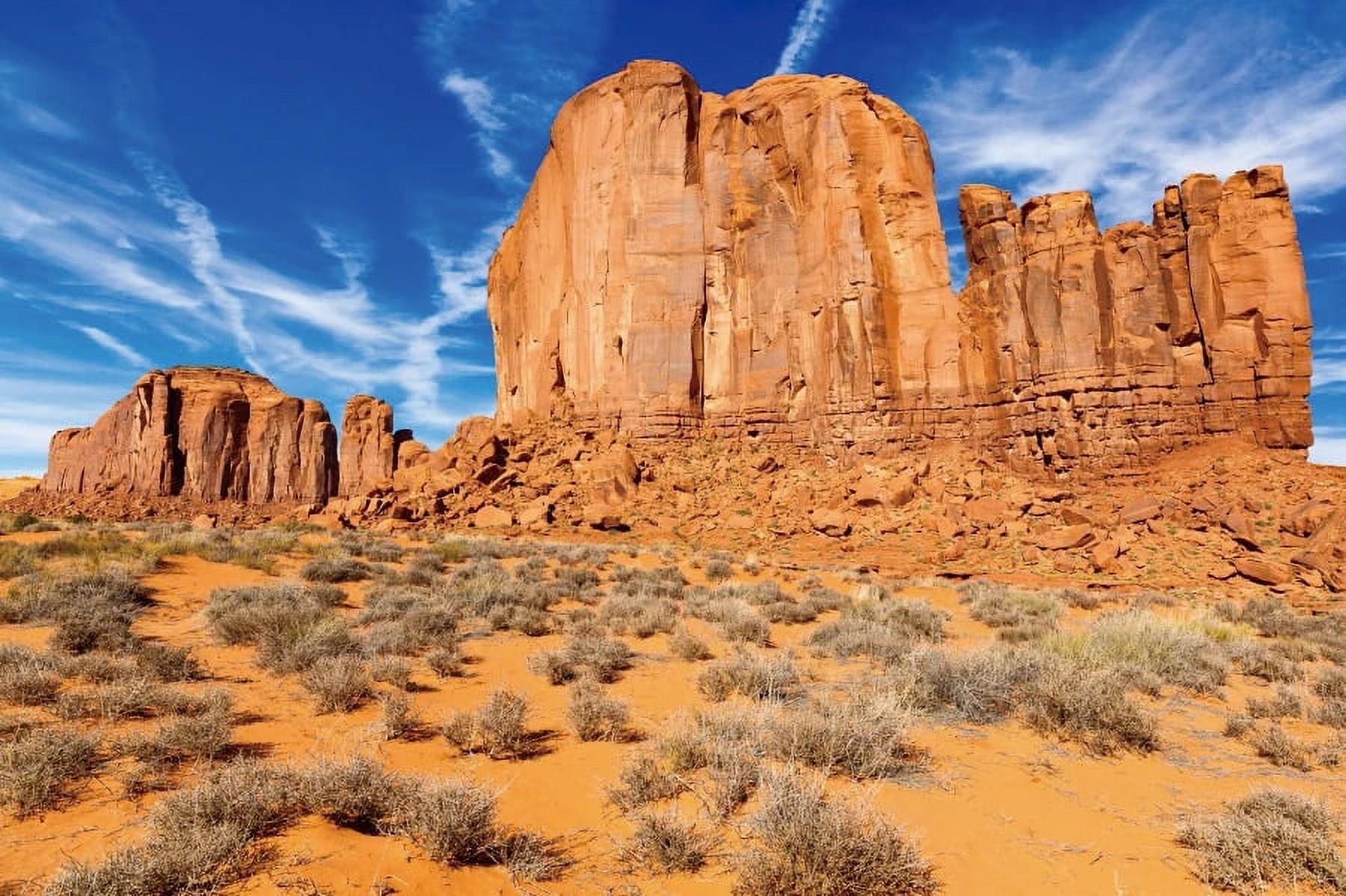 Laeacco Joshua Tree National Park Desert Natural Landscape Room Decor ...