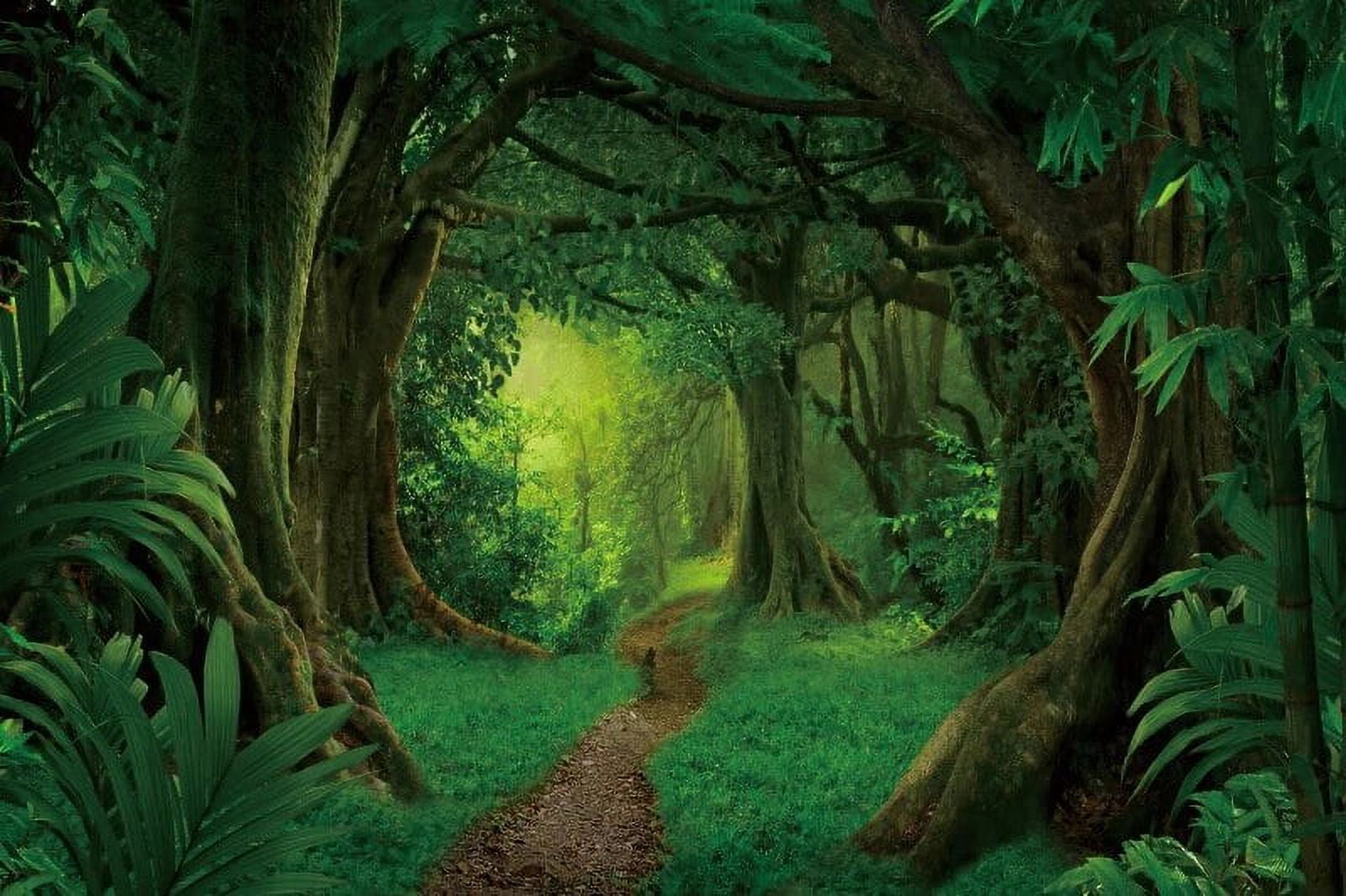 Laeacco Jungle Forest Photography Backdrop Outdoorsy Camping Theme ...