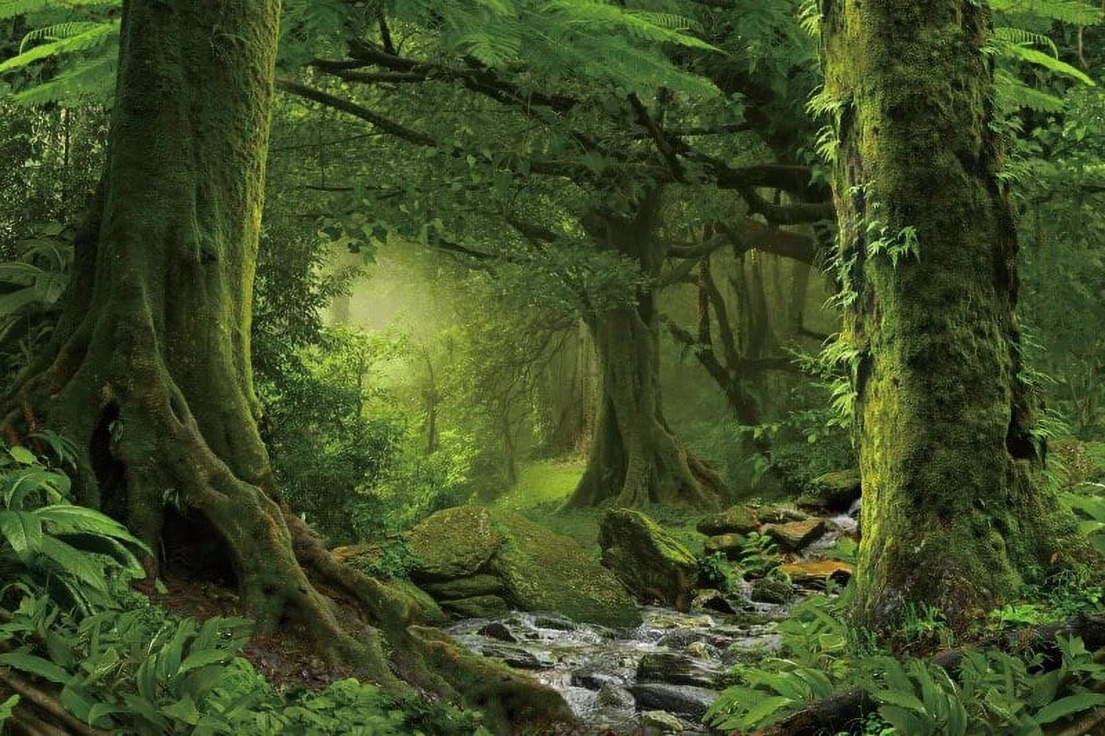 Laeacco Jungle Forest Photography Backdrop Outdoorsy Camping Theme ...