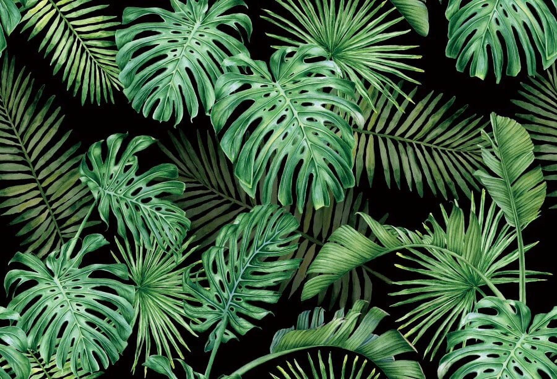 Laeacco Jungle Party Photography Backdrops Tropical Forest Green Leaves ...