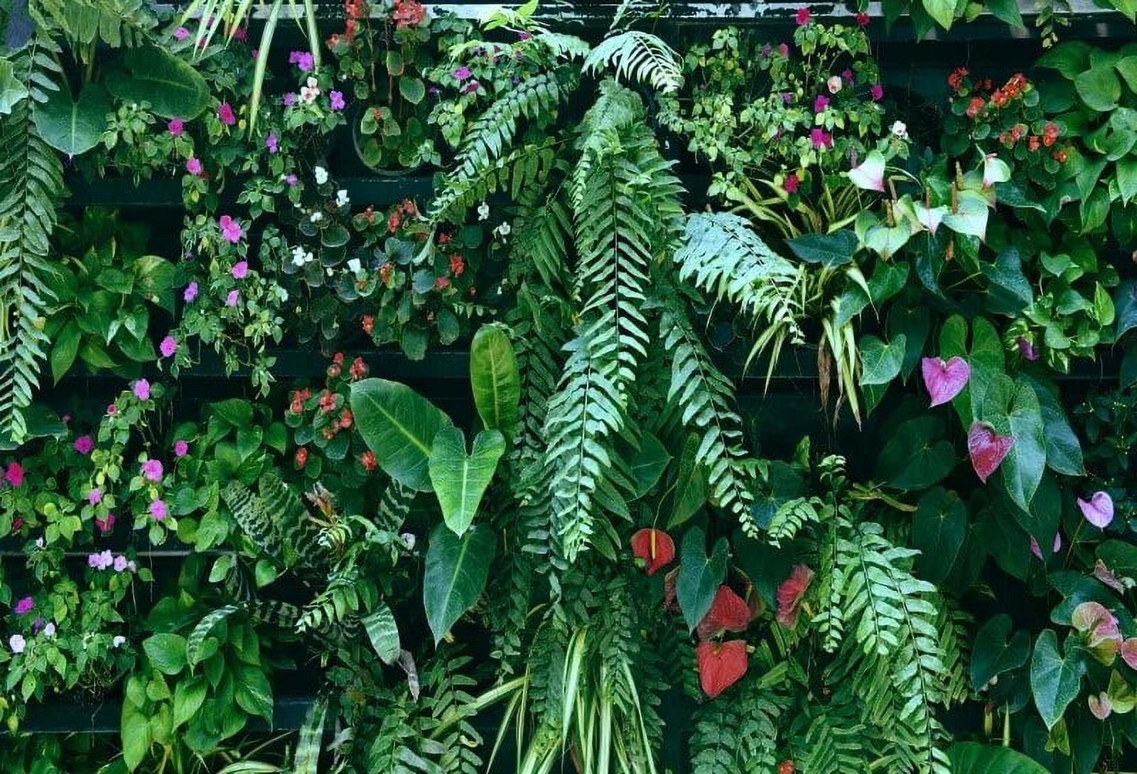 Laeacco Jungle Party Photography Backdrops Tropical Forest Green Leaves ...