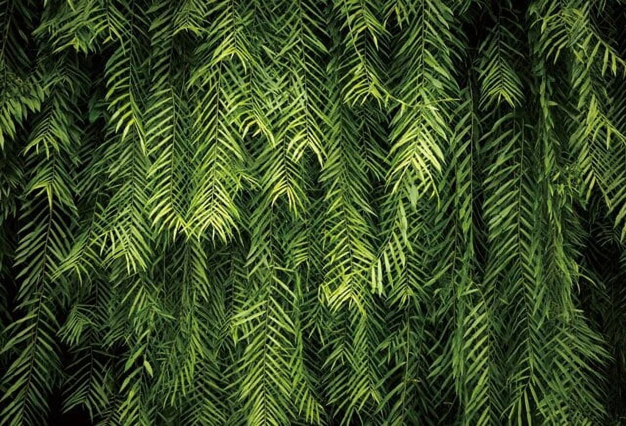 Laeacco Jungle Party Photography Backdrops Tropical Forest Green Leaves ...