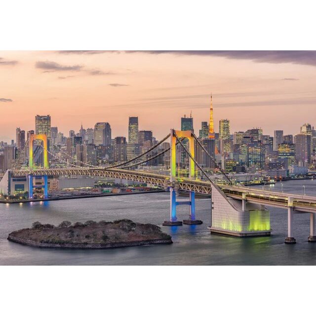 Laeacco Modern City Metropolis Buildings Sea Bridge Scenic Photography ...