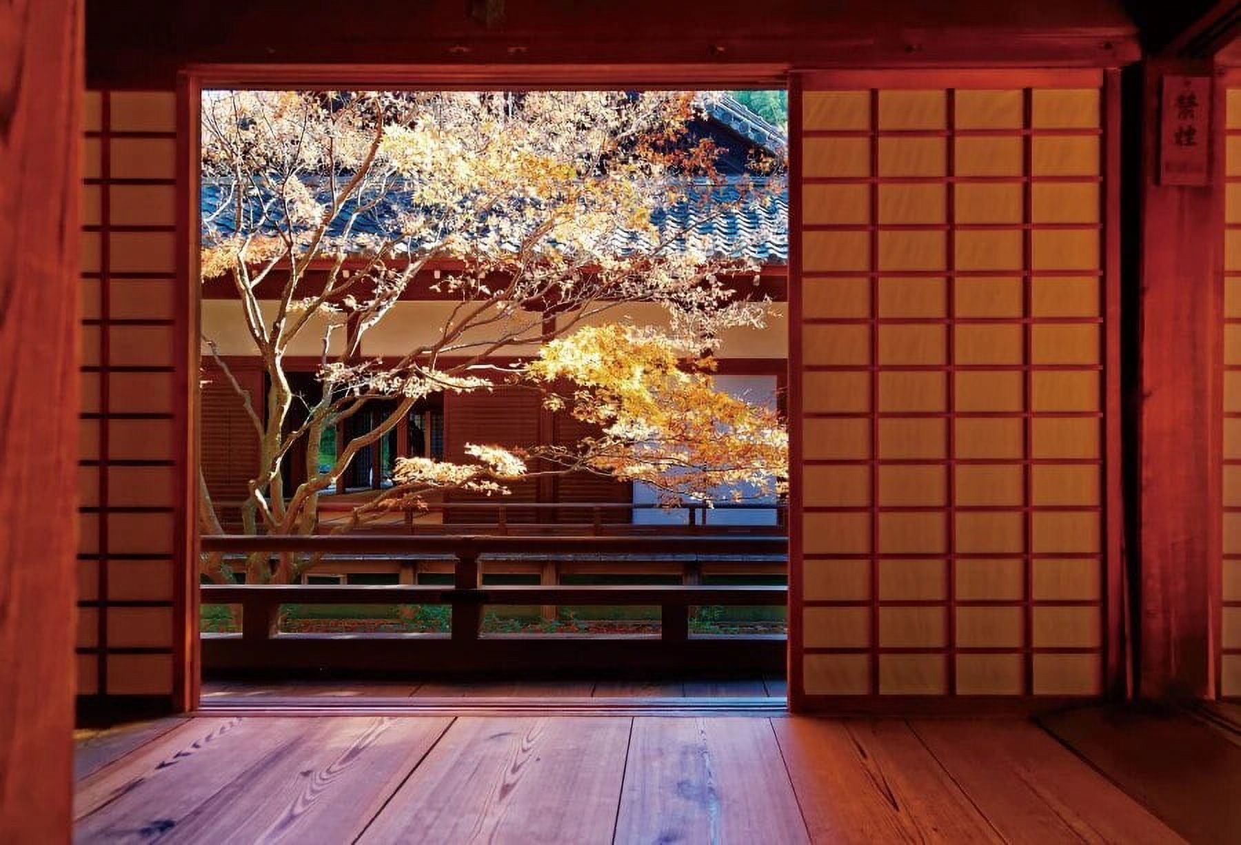 Laeacco Old House Window Scenery Green Trees Vine Vintage Grunge Baby ...