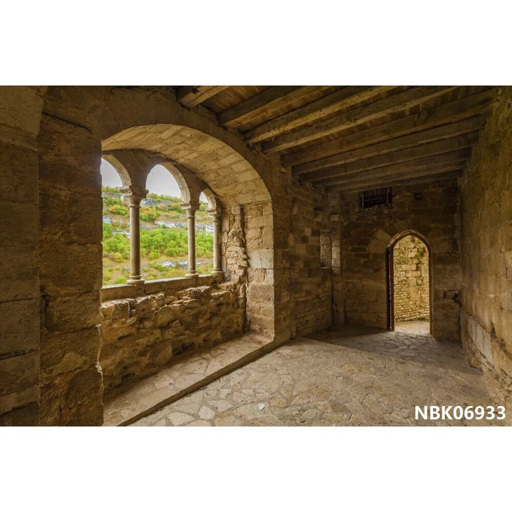 Laeacco Old House Window Scenery Green Trees Vine Vintage Grunge Baby ...