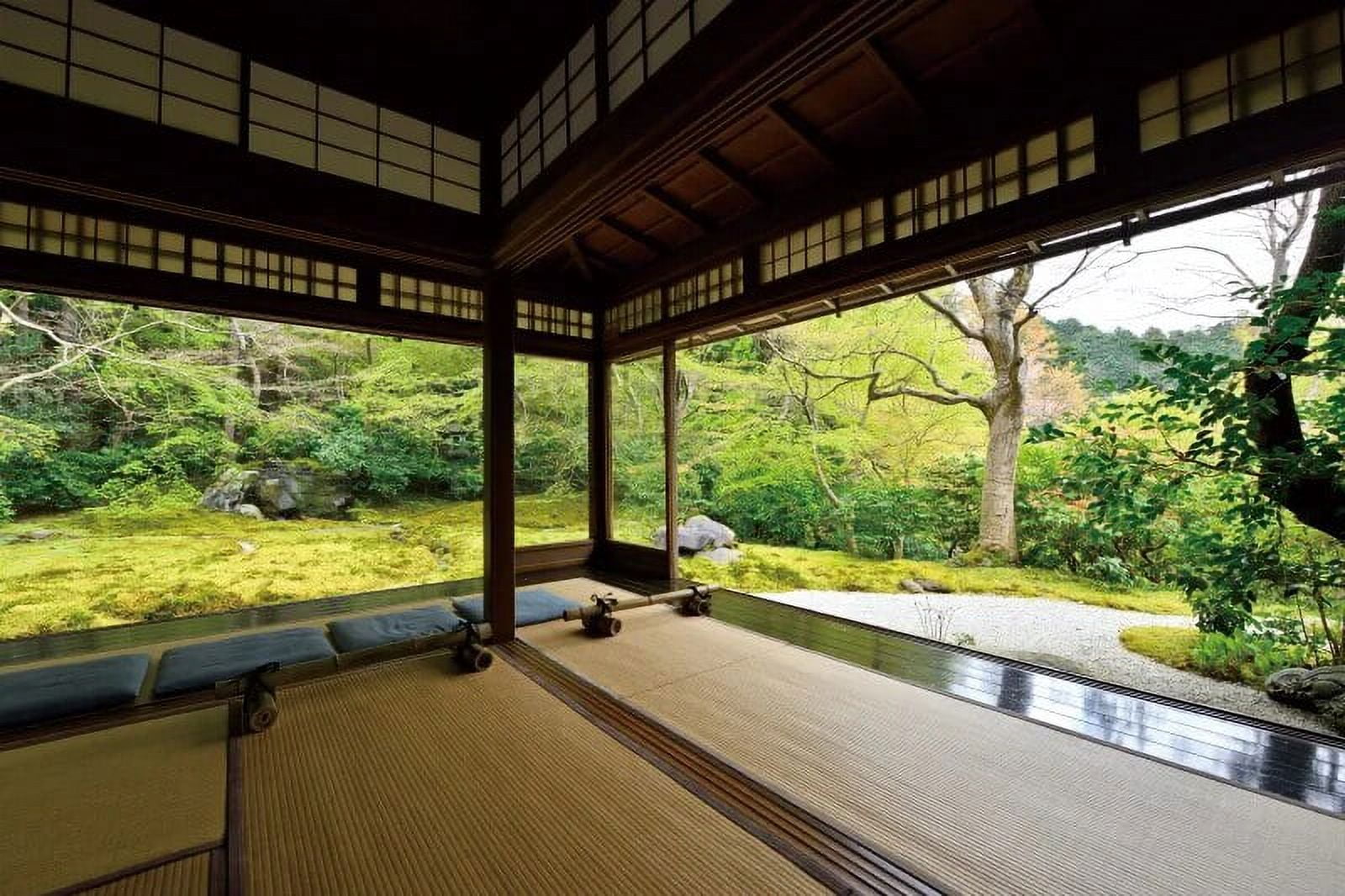 Laeacco Old House Window Scenery Green Trees Vine Vintage Grunge Baby ...