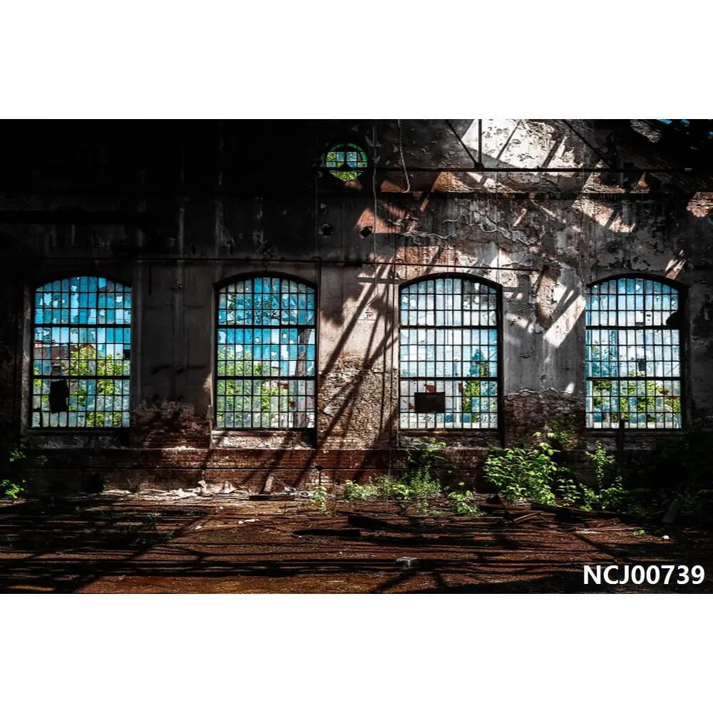 Laeacco Old House Window Scenery Green Trees Vine Vintage Grunge Baby ...