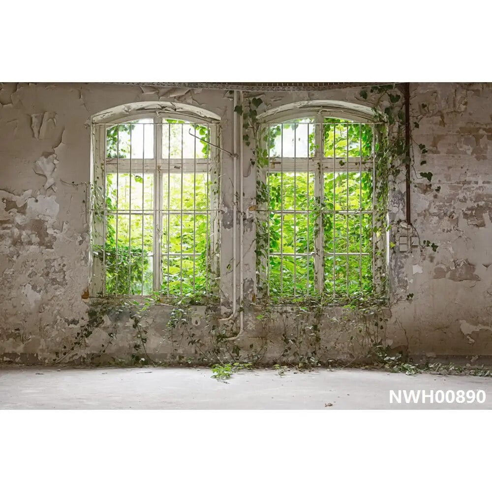 Laeacco Old House Window Scenery Green Trees Vine Vintage Grunge Baby ...