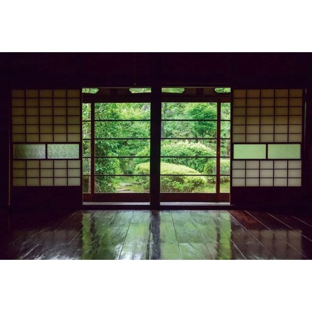 Laeacco Old House Window Scenery Green Trees Vine Vintage Grunge Baby ...