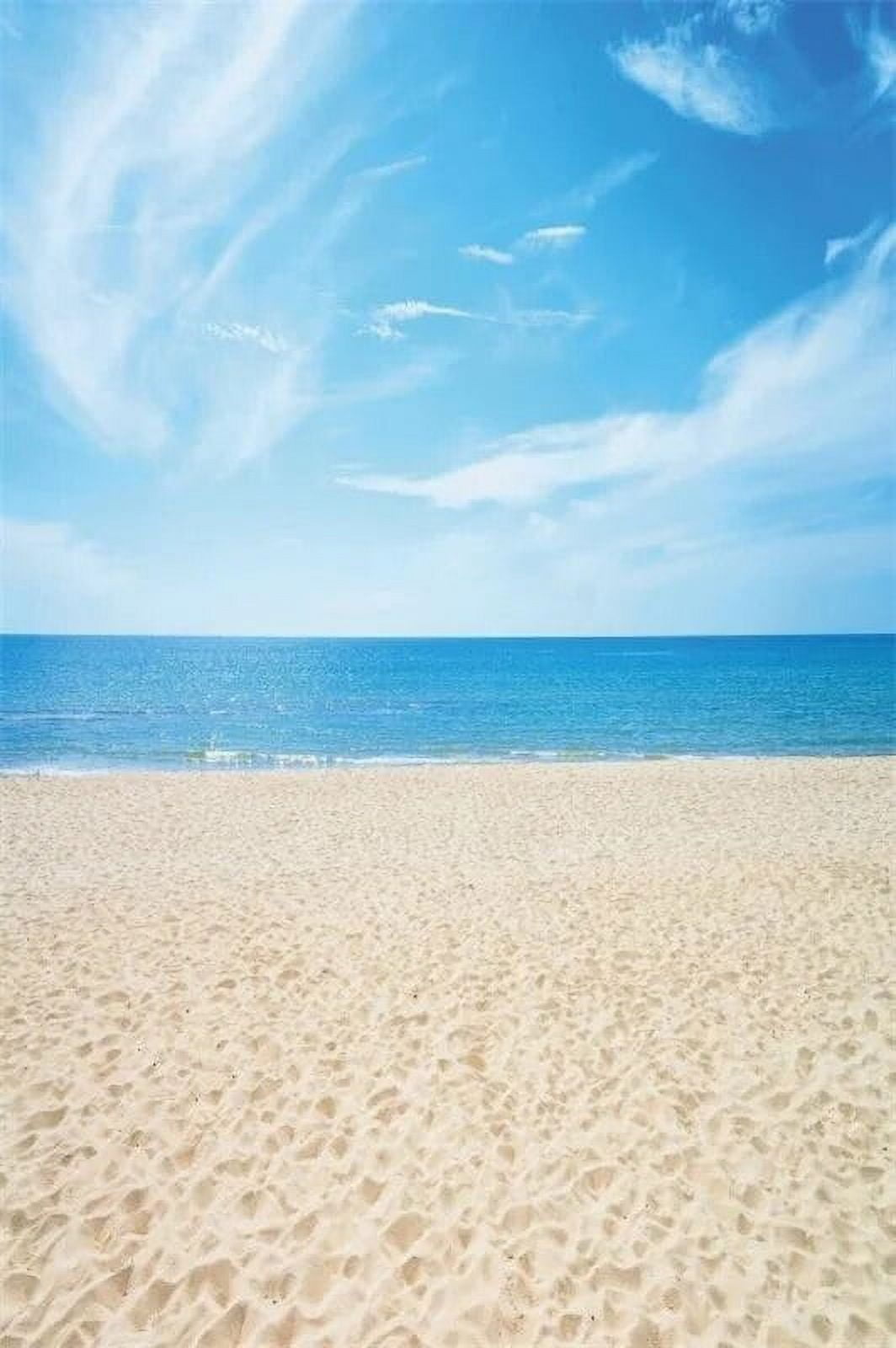 Laeacco Photo Background Summer Seaside BeachSunshine Shell Scene Baby ...