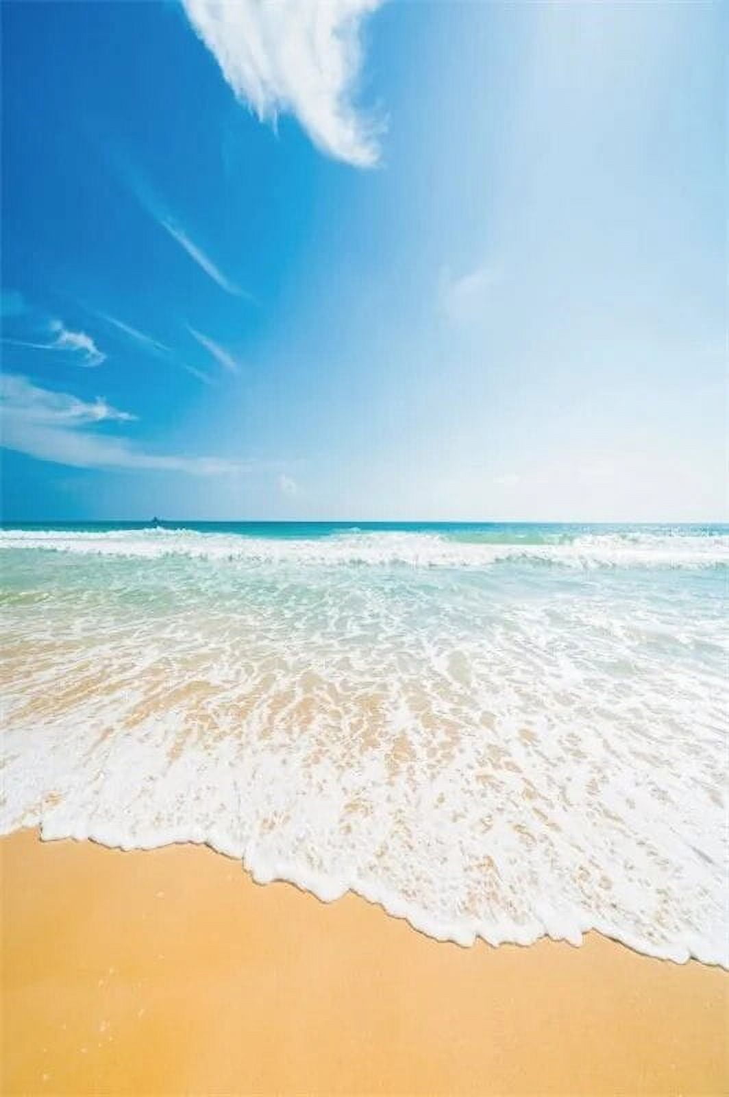 Laeacco Photo Background Summer Seaside BeachSunshine Shell Scene Baby ...