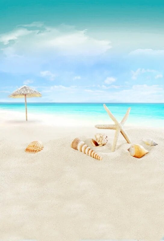 Laeacco Photo Background Summer Seaside BeachSunshine Shell Scene Baby ...