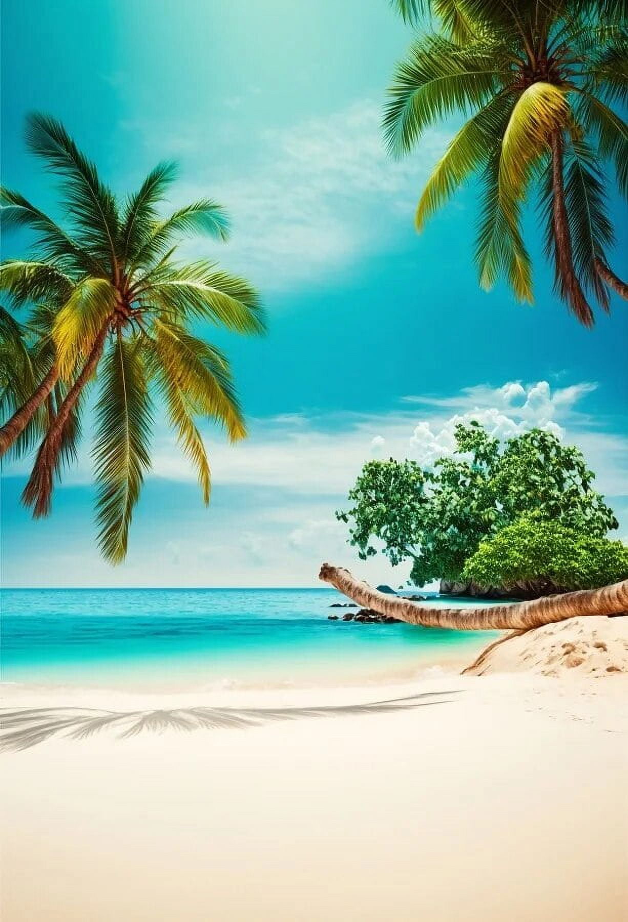 Laeacco Photo Background Summer Seaside BeachSunshine Shell Scene Baby ...