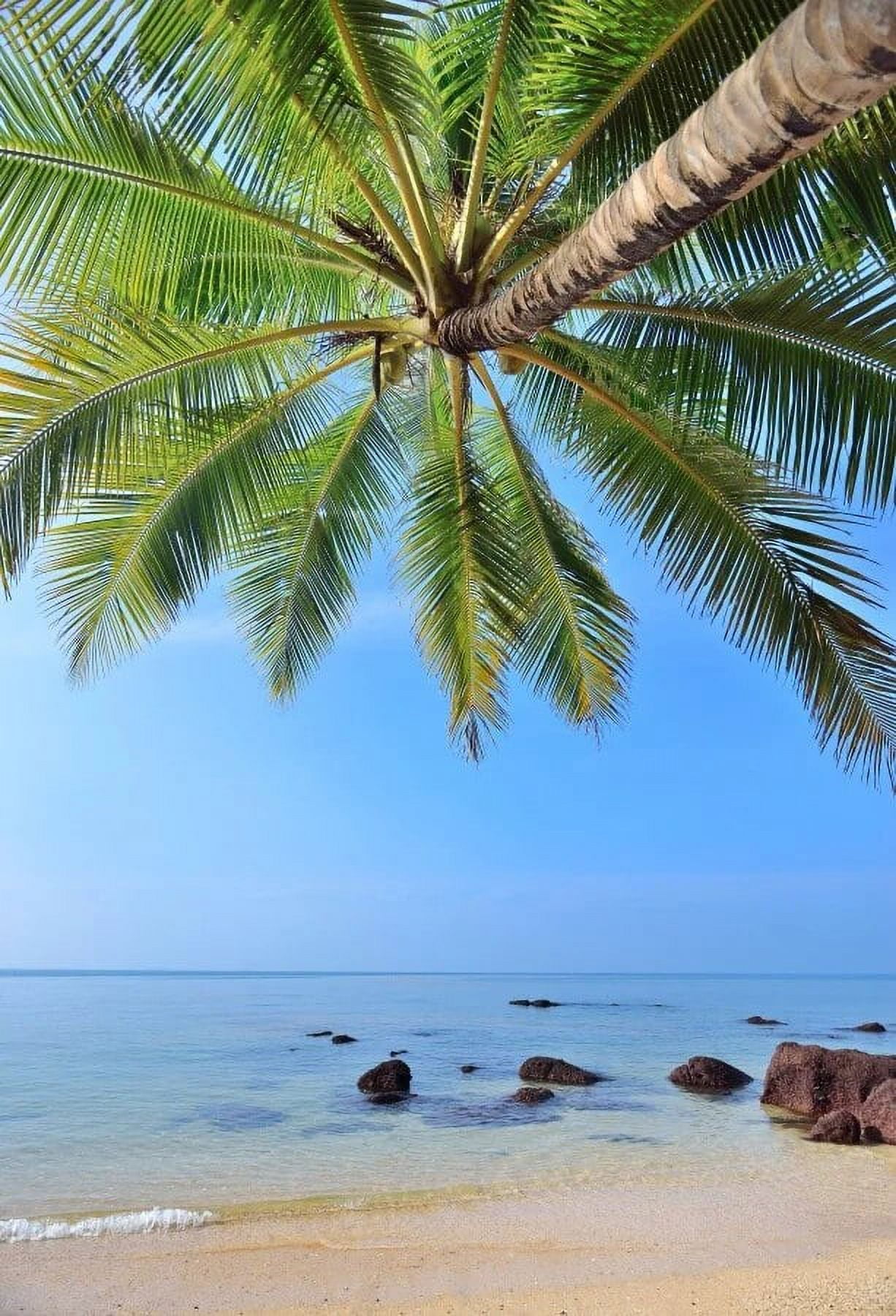 Laeacco Photo Background Summer Seaside BeachSunshine Shell Scene Baby ...