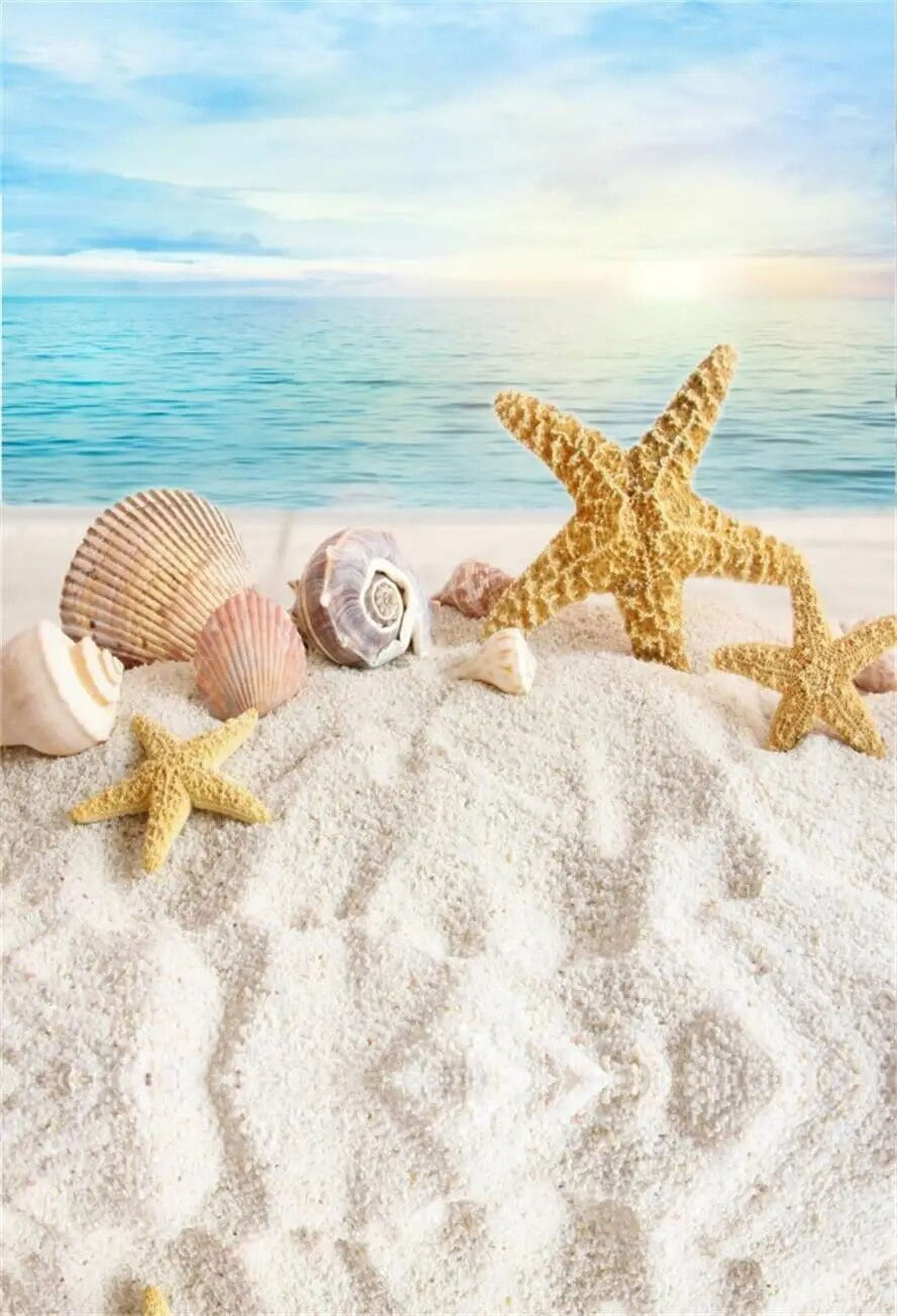 Laeacco Photo Background Summer Seaside BeachSunshine Shell Scene Baby ...