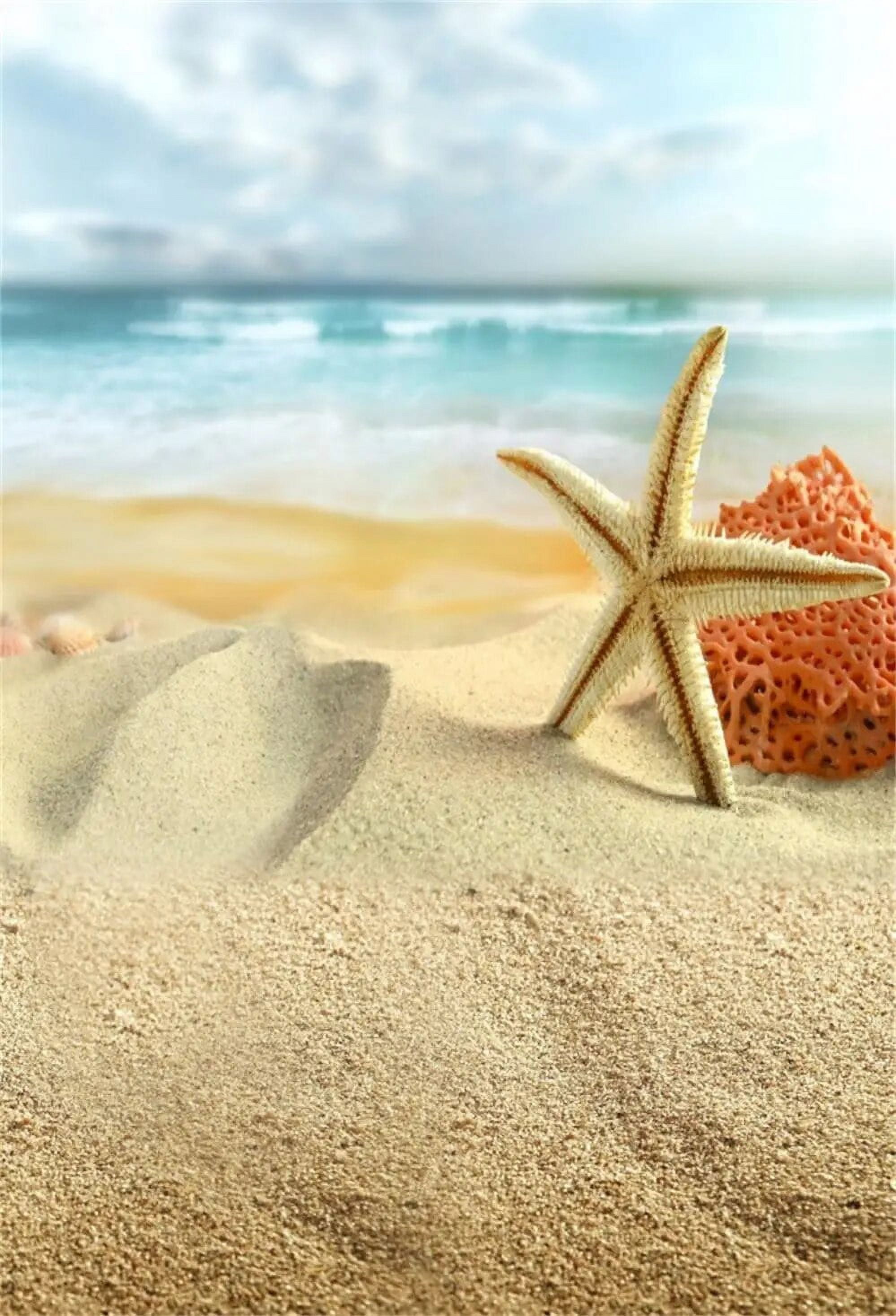 Laeacco Photo Background Summer Seaside BeachSunshine Shell Scene Baby ...