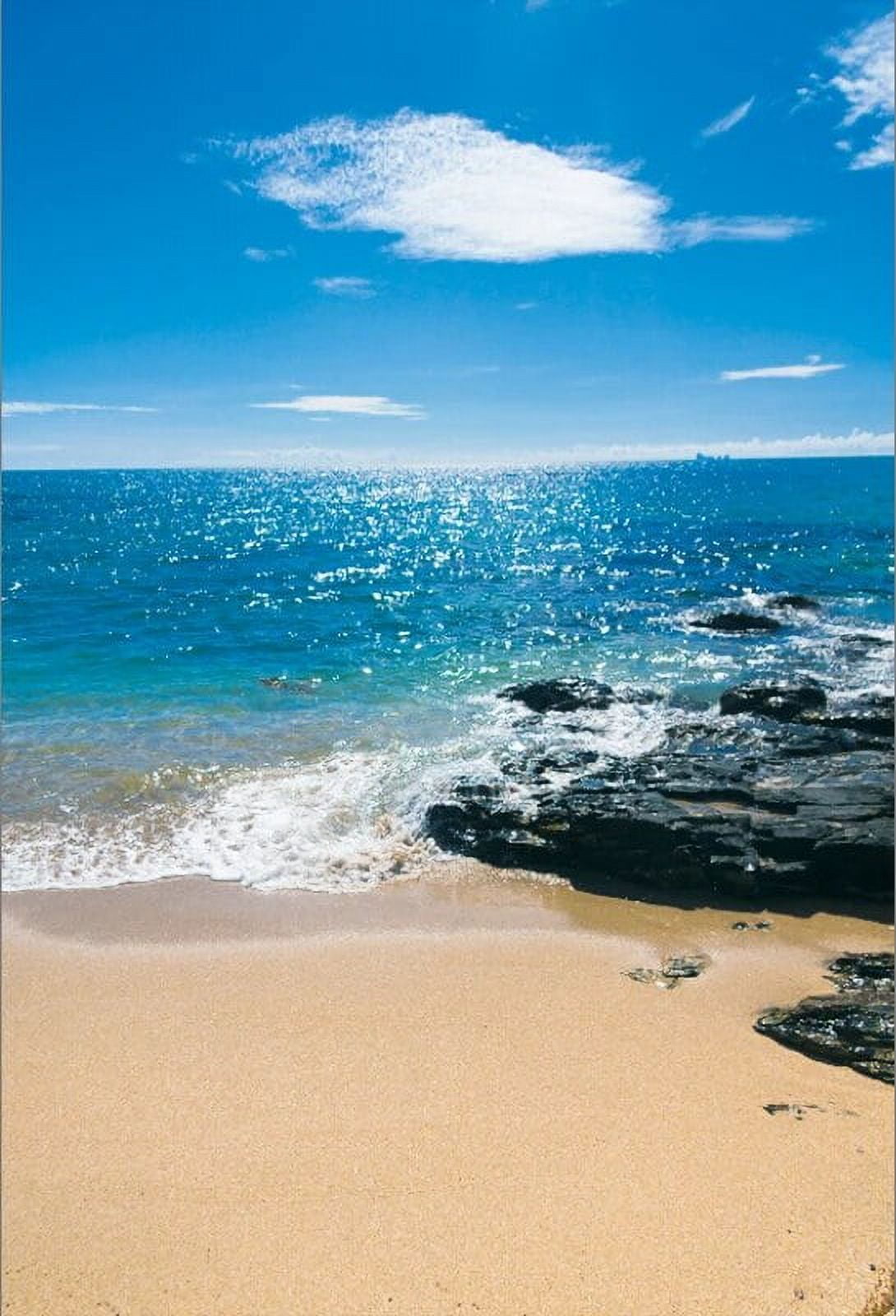 Laeacco Photo Background Summer Seaside BeachSunshine Shell Scene Baby ...