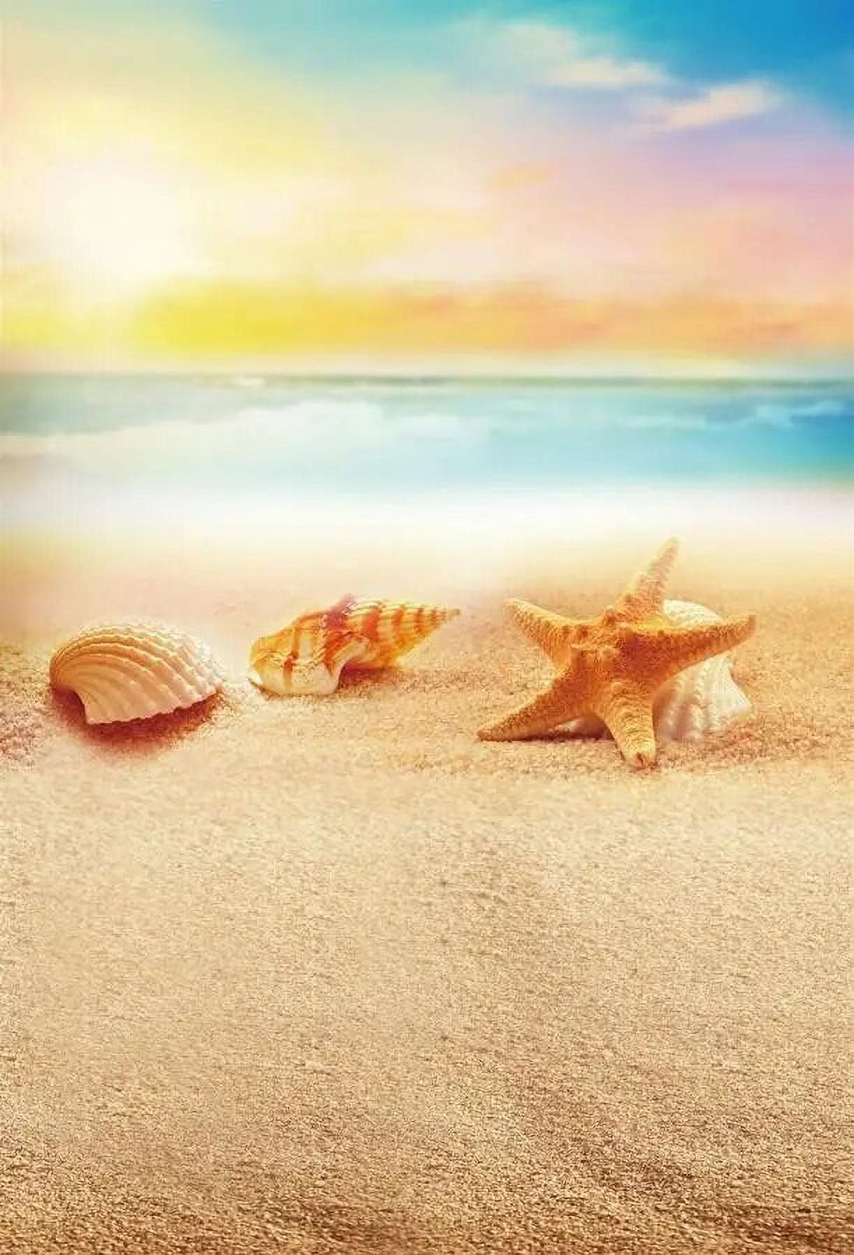 Laeacco Photo Background Summer Seaside BeachSunshine Shell Scene Baby ...