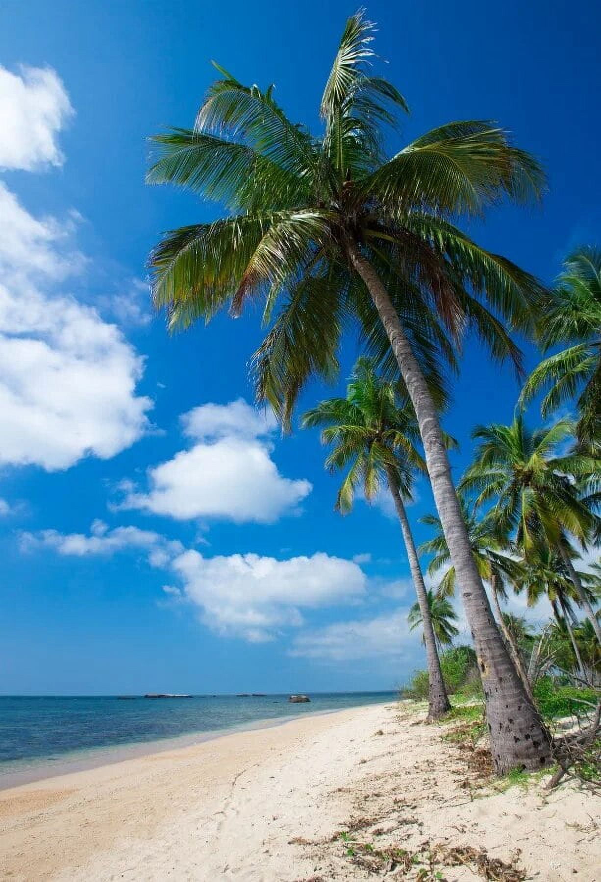 Laeacco Photo Background Summer Seaside BeachSunshine Shell Scene Baby ...