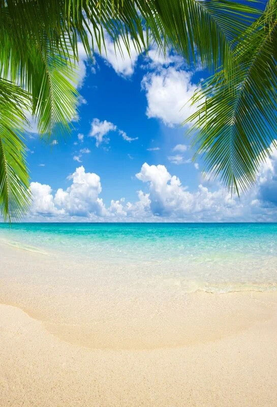 Laeacco Photo Background Summer Seaside BeachSunshine Shell Scene Baby ...