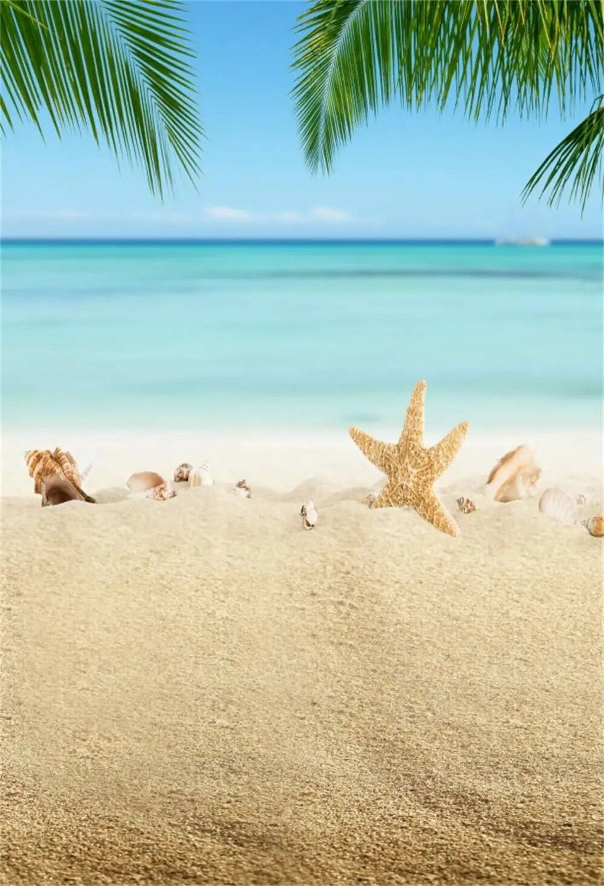 Laeacco Photo Background Summer Seaside BeachSunshine Shell Scene Baby ...