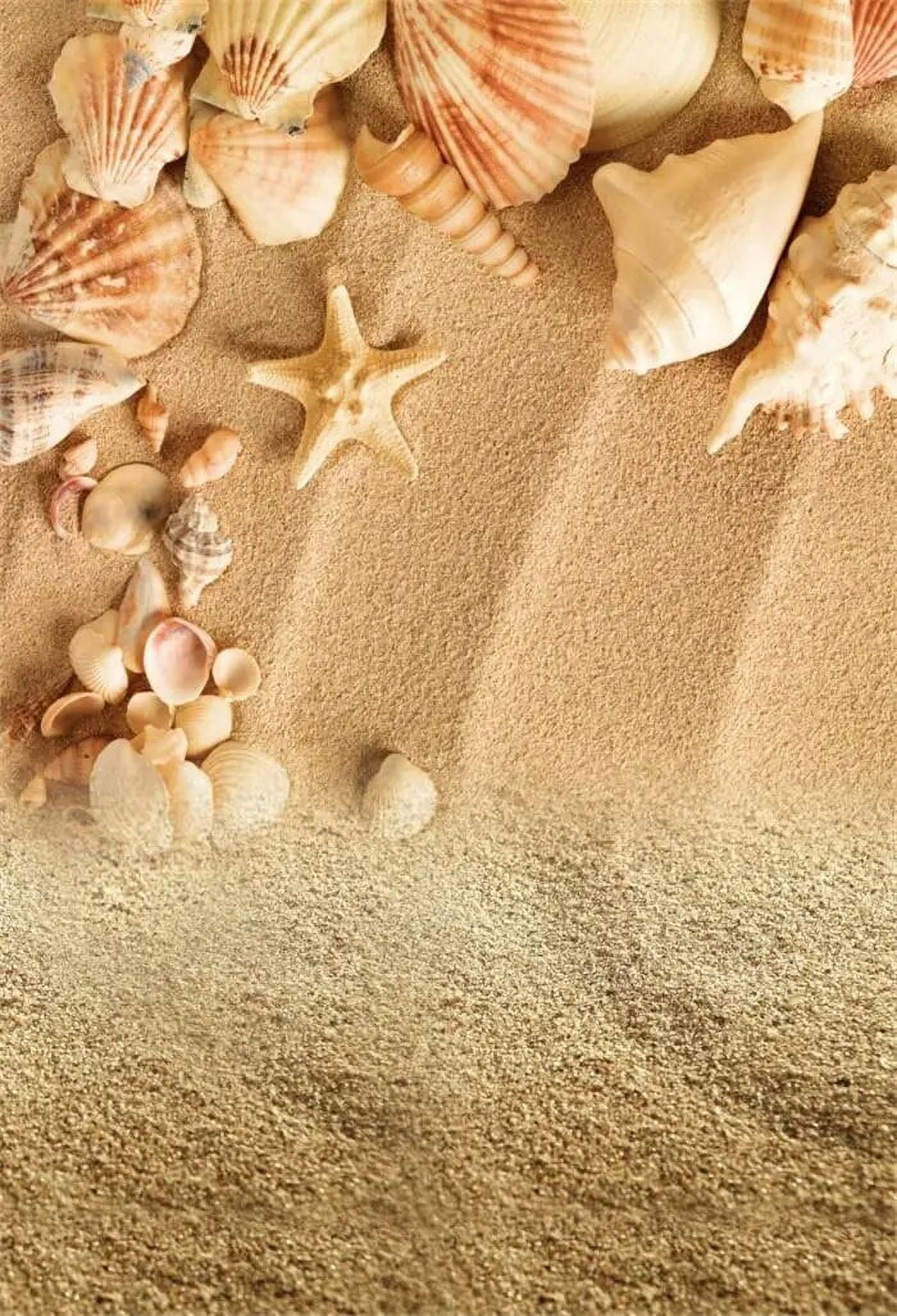 Laeacco Photo Background Summer Seaside BeachSunshine Shell Scene Baby ...