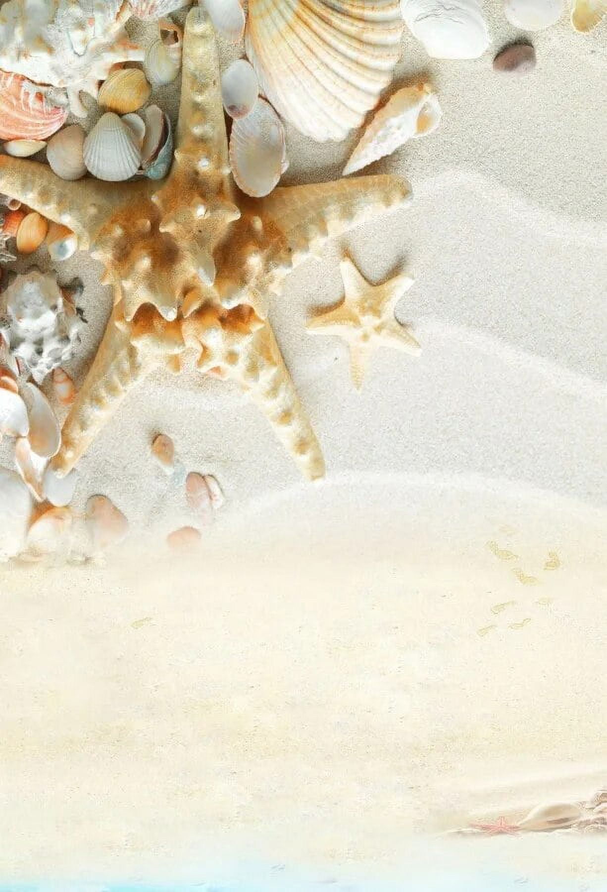 Laeacco Photo Background Summer Seaside BeachSunshine Shell Scene Baby ...