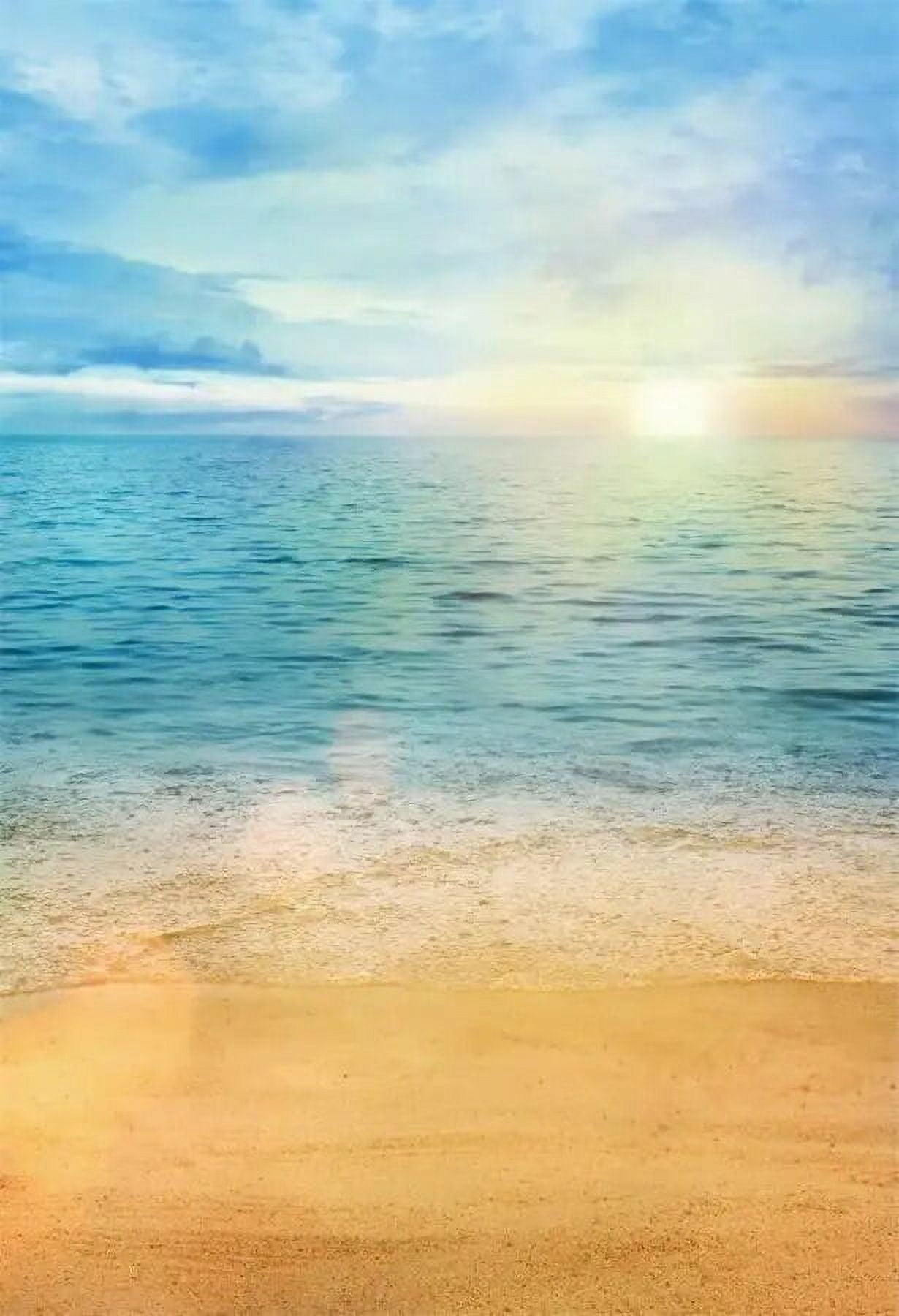 Laeacco Photo Background Summer Seaside BeachSunshine Shell Scene Baby ...