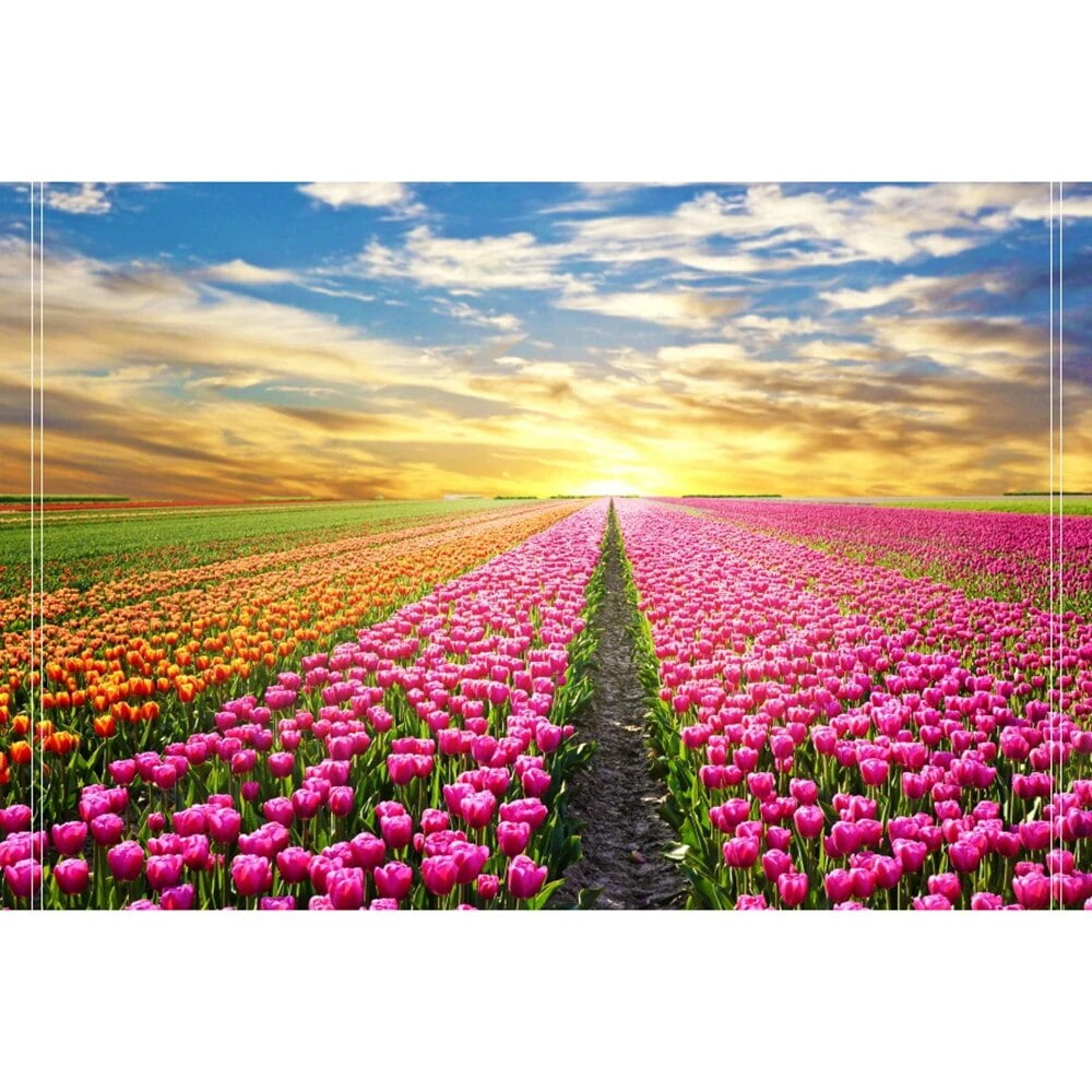 Laeacco Romantic Lavender Garden Dreamy Portrait Scenic Photographic ...