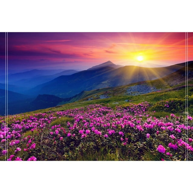 Laeacco Romantic Lavender Garden Dreamy Portrait Scenic Photographic ...