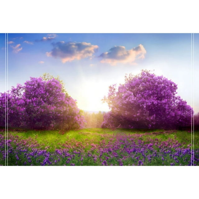 Laeacco Romantic Lavender Garden Dreamy Portrait Scenic Photographic ...