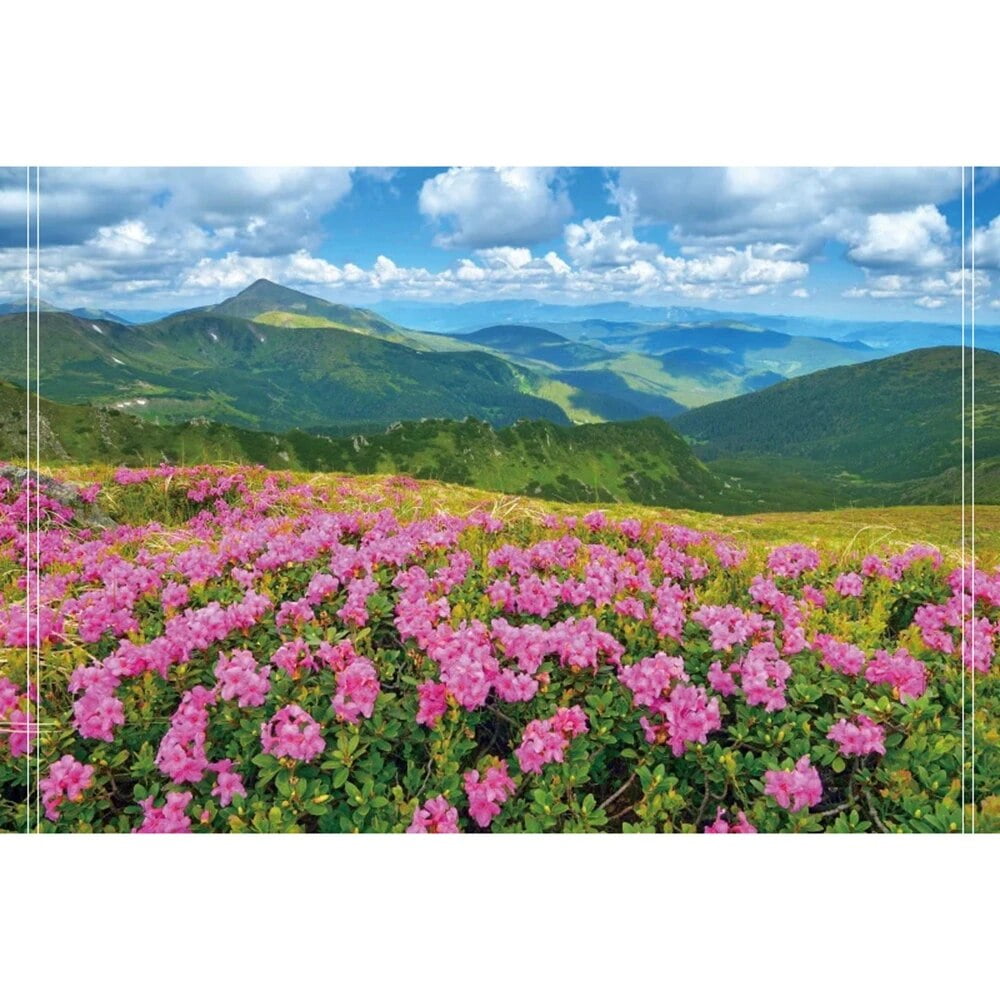 Laeacco Romantic Lavender Garden Dreamy Portrait Scenic Photographic ...