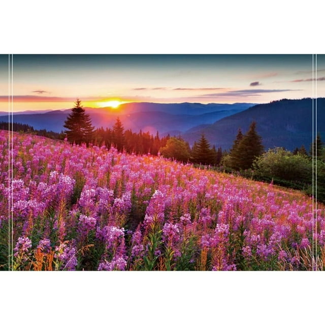 Laeacco Romantic Lavender Garden Dreamy Portrait Scenic Photographic ...