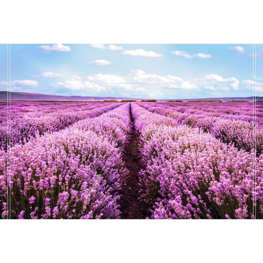 Laeacco Romantic Lavender Garden Dreamy Portrait Scenic Photographic ...