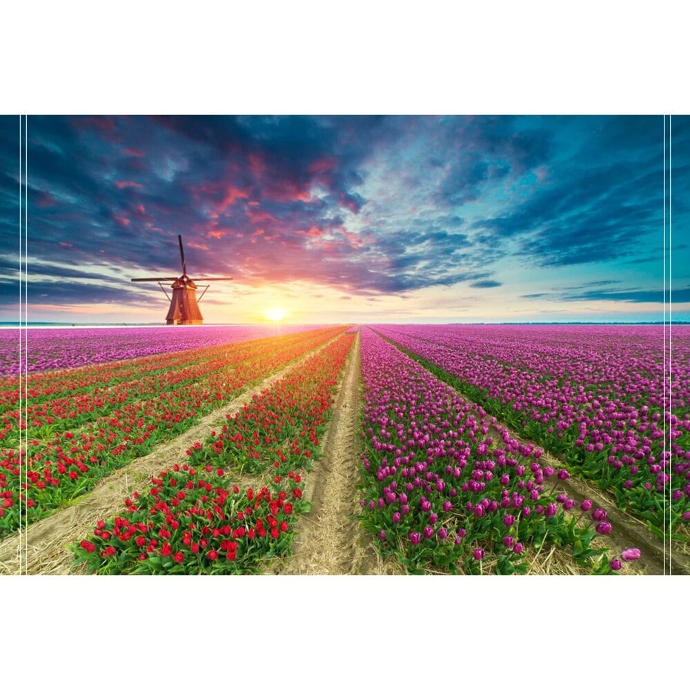 Laeacco Romantic Lavender Garden Dreamy Portrait Scenic Photographic ...
