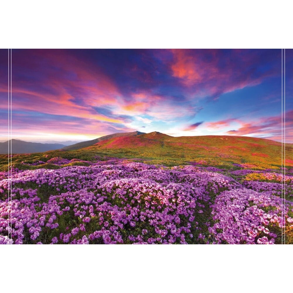 Laeacco Romantic Lavender Garden Dreamy Portrait Scenic Photographic ...