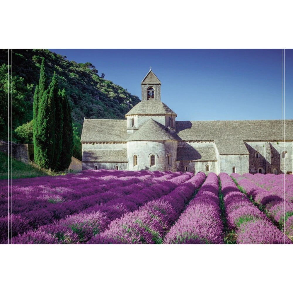 Laeacco Romantic Lavender Garden Dreamy Portrait Scenic Photographic ...