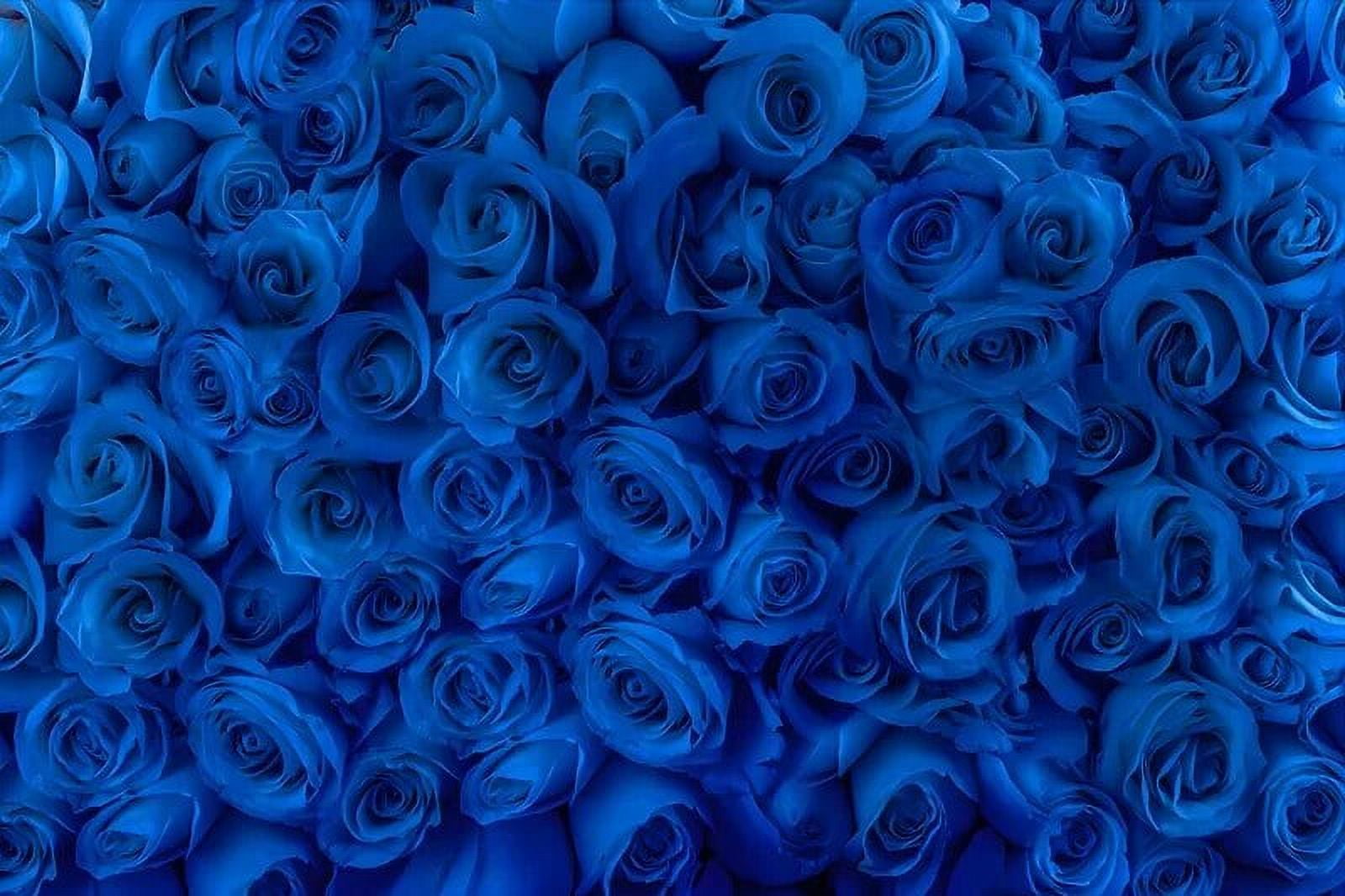 Laeacco Royal Blue Rose Flower Wall Photo Backdrop Bridal Shower Miss ...