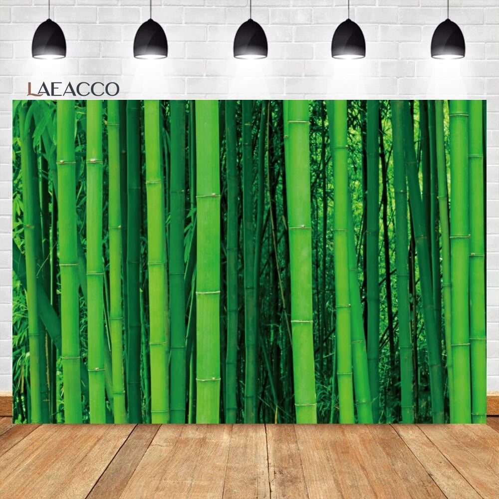 Laeacco Rustic Bamboo Plank Fence Wood Texture Photography Backdrop Old ...