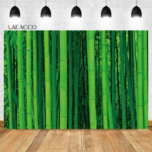 Laeacco Rustic Bamboo Plank Fence Wood Texture Photography Backdrop Old ...