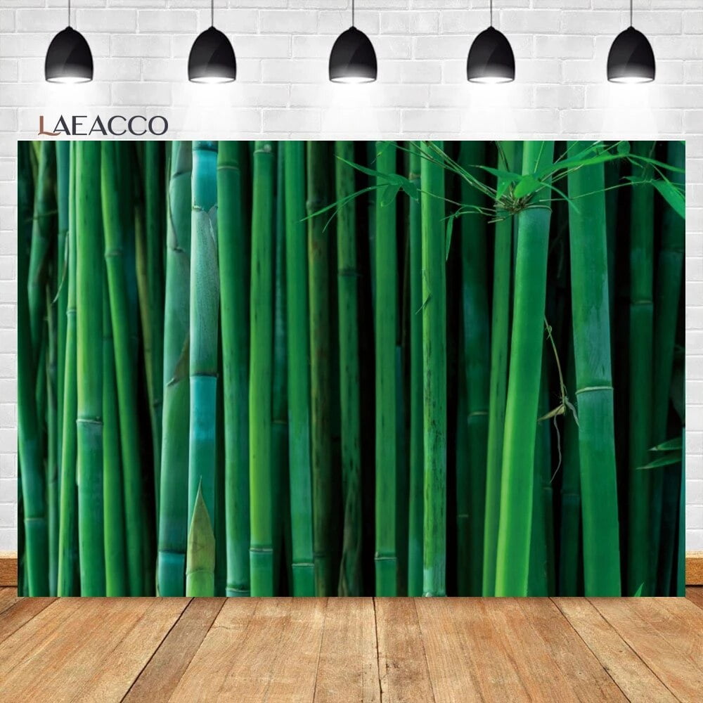 Laeacco Rustic Bamboo Plank Fence Wood Texture Photography Backdrop Old ...