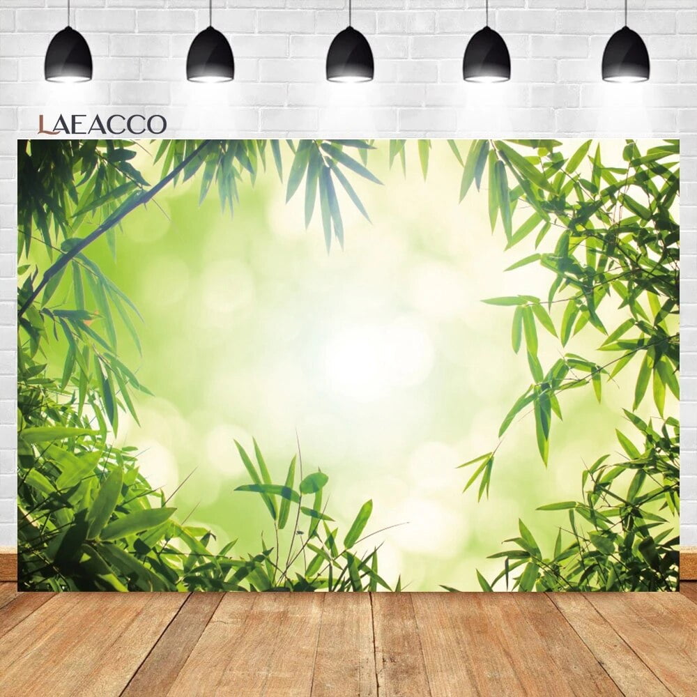 Laeacco Rustic Bamboo Plank Fence Wood Texture Photography Backdrop Old ...