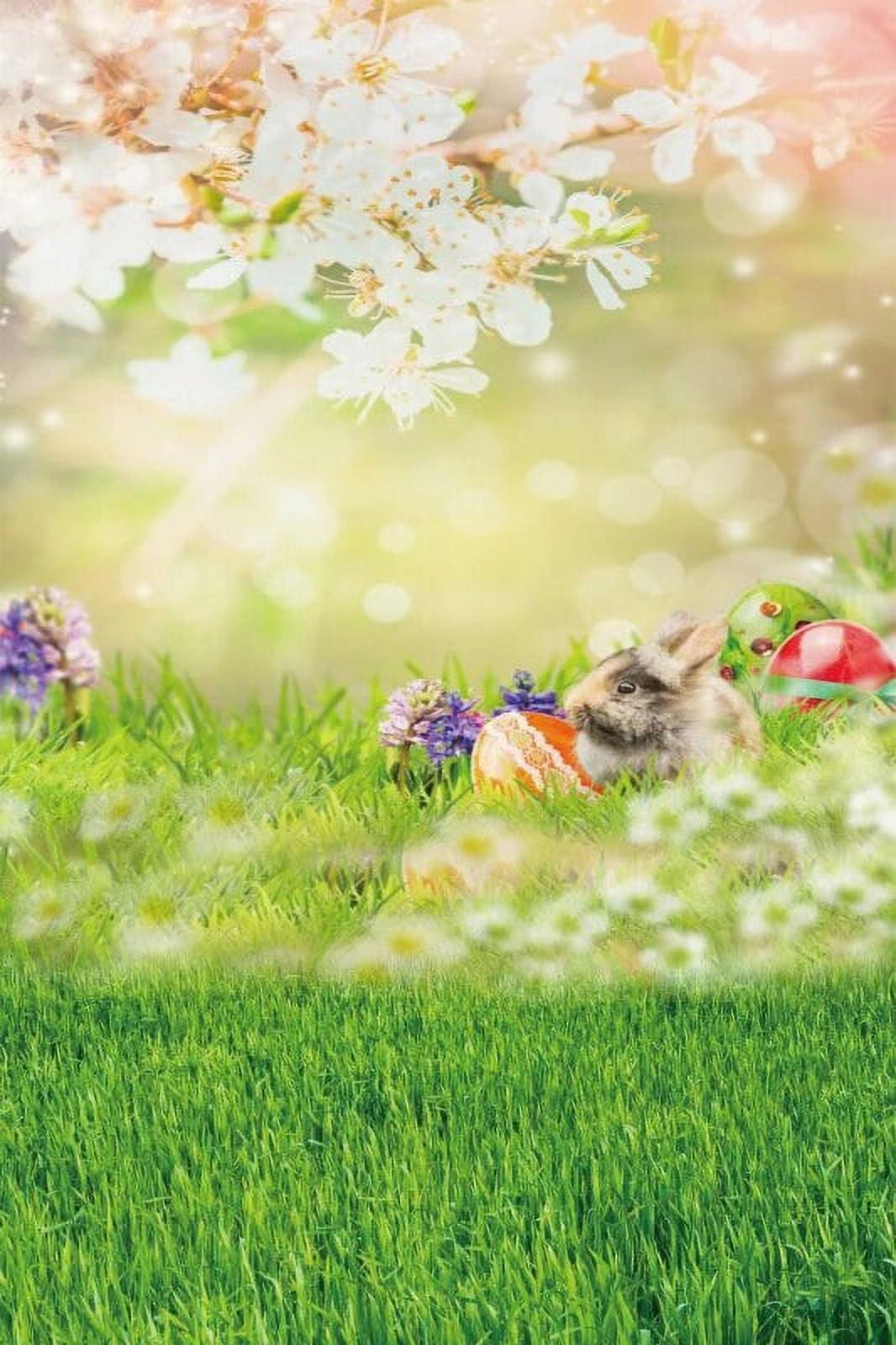 Laeacco Spring Easter Photo Photography Backdrops Green Grass Cute ...
