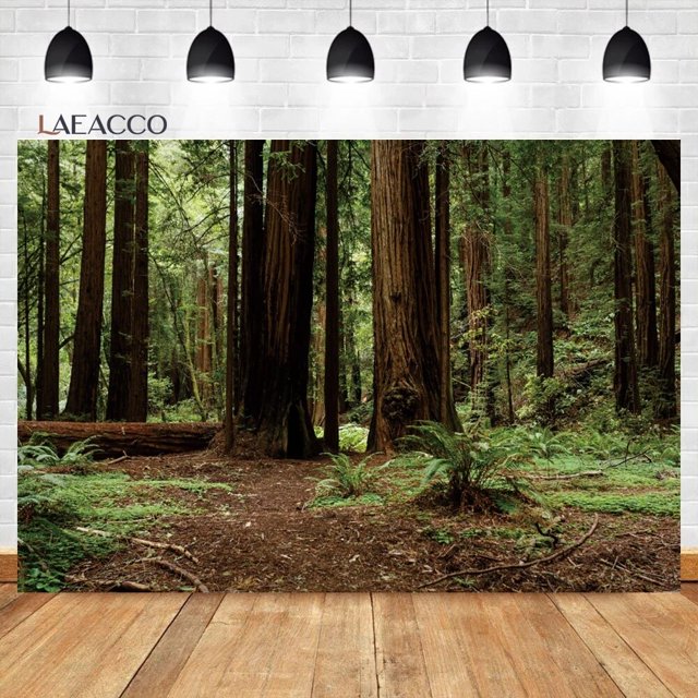 Laeacco Spring Forest Backdrop Green Grassland Enchanted Jungle ...
