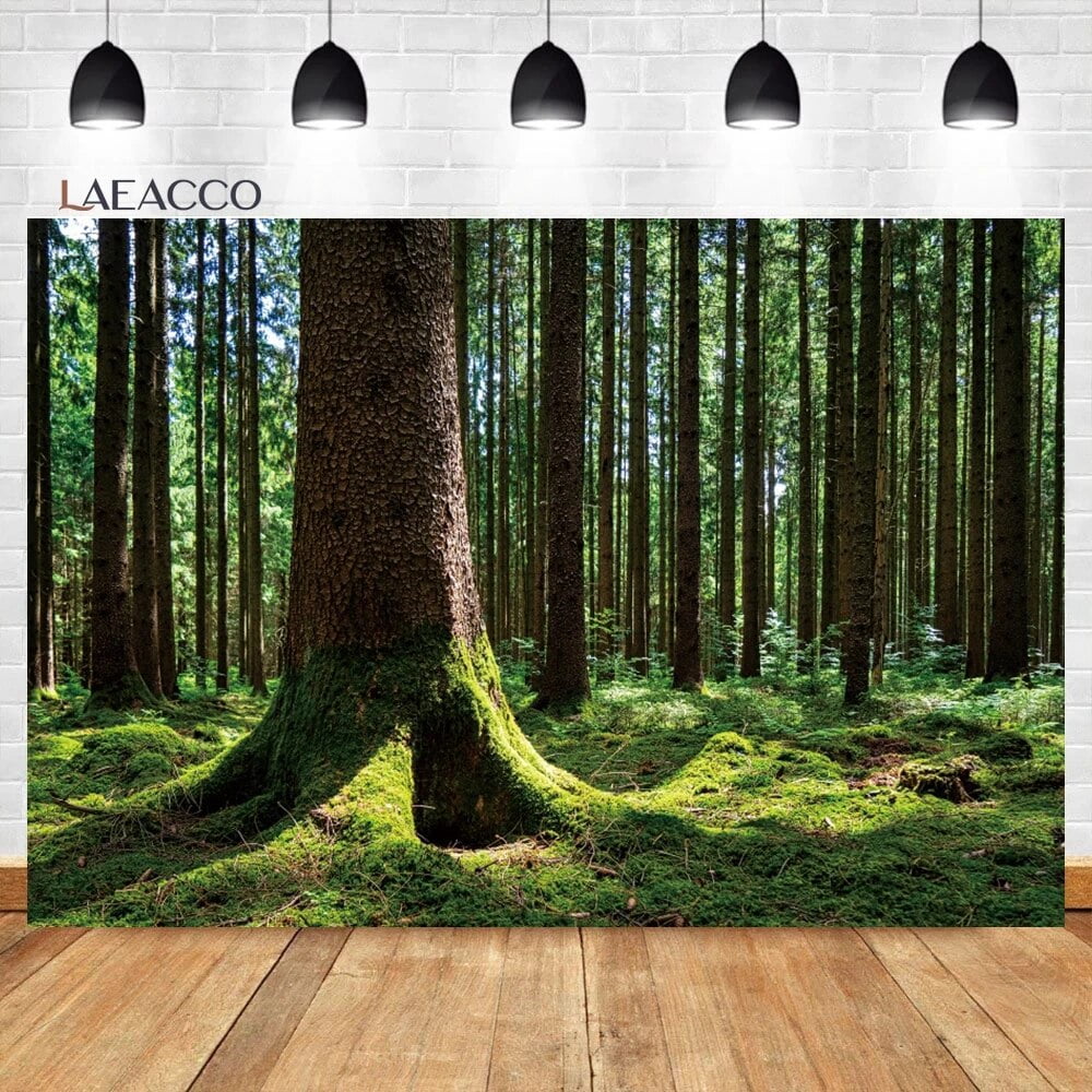 Laeacco Spring Forest Backdrop Green Grassland Enchanted Jungle ...
