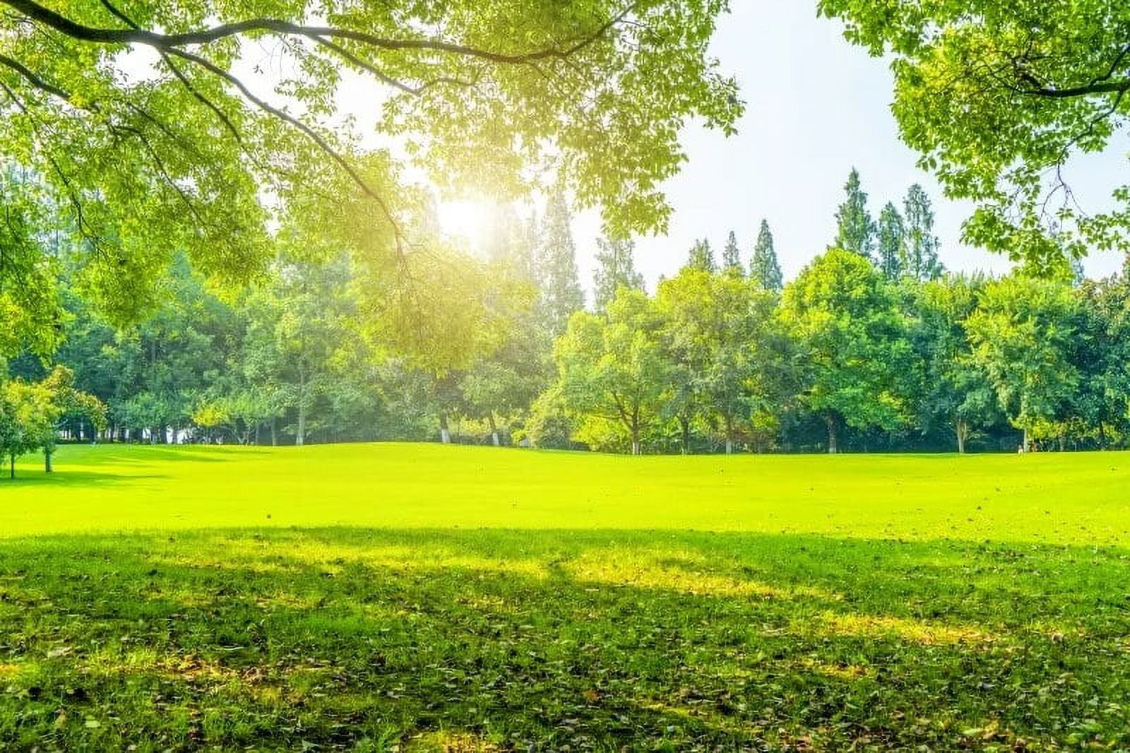 Laeacco Spring Forest Park Photo Backdrop Grassland Scenic Out Door ...