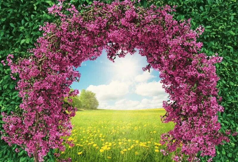 Laeacco Spring Garden Photo Backdrop Ivy Green Leaf Wall Flower Field ...